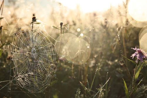 Link Building for Legal Websites: An In-Depth Guide.